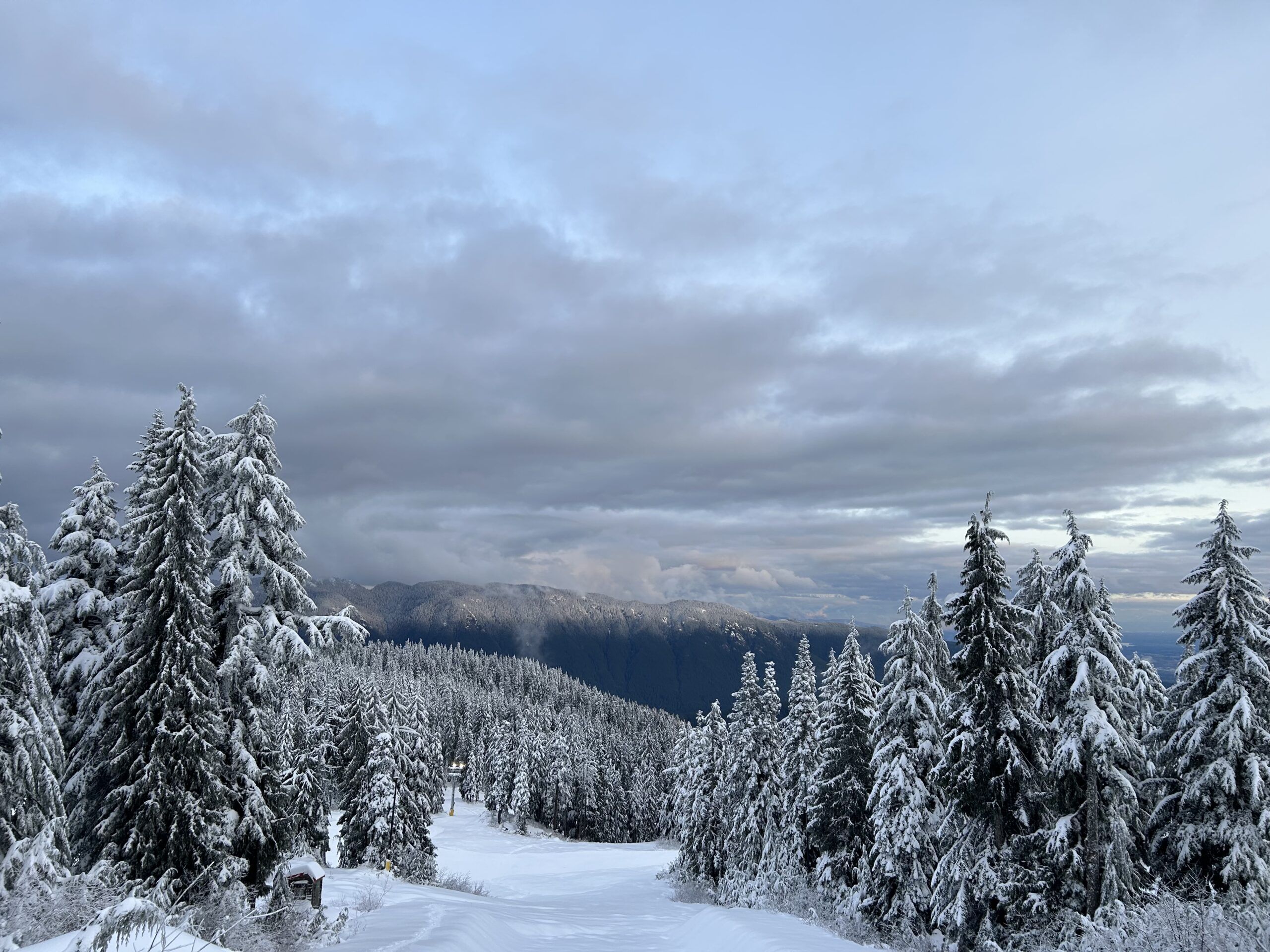 Embracing the Magic: A Love Letter to Canadian Snow - Daum